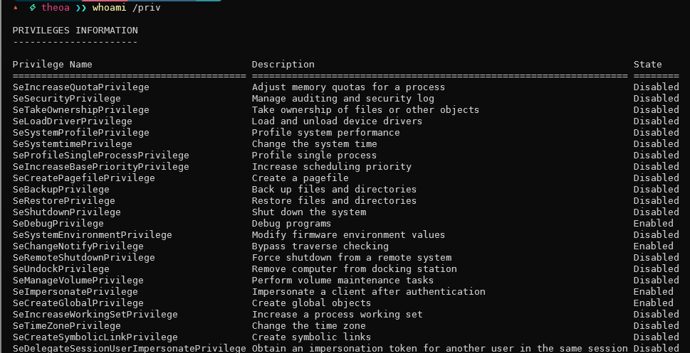 Windows Enumeration and Exploitation