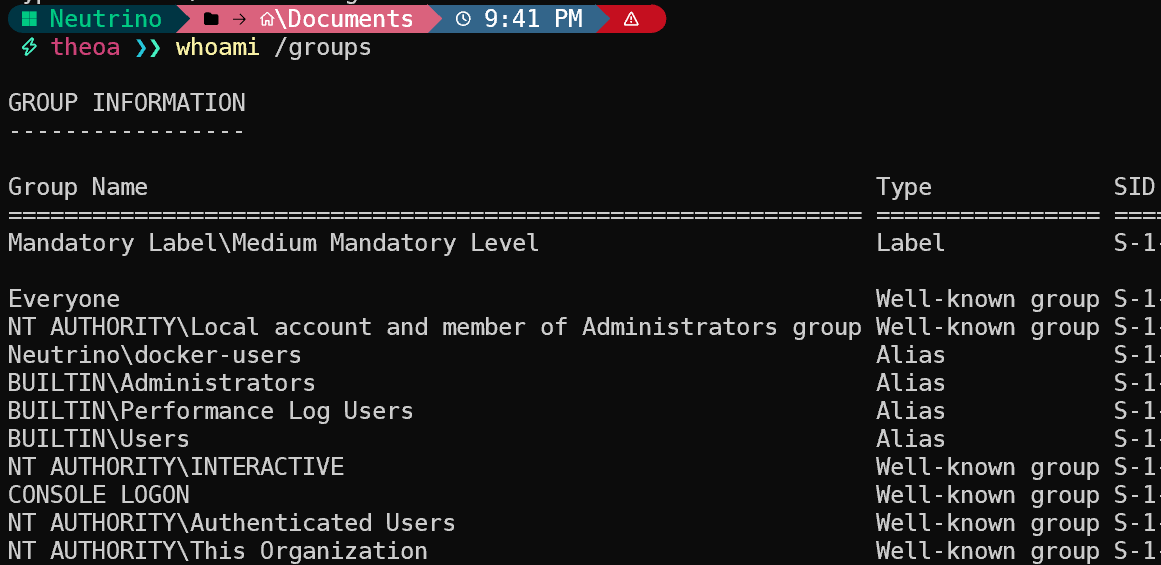 Windows Enumeration and Exploitation
